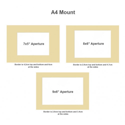 A4 Bevel Edge Photo Picture Mount